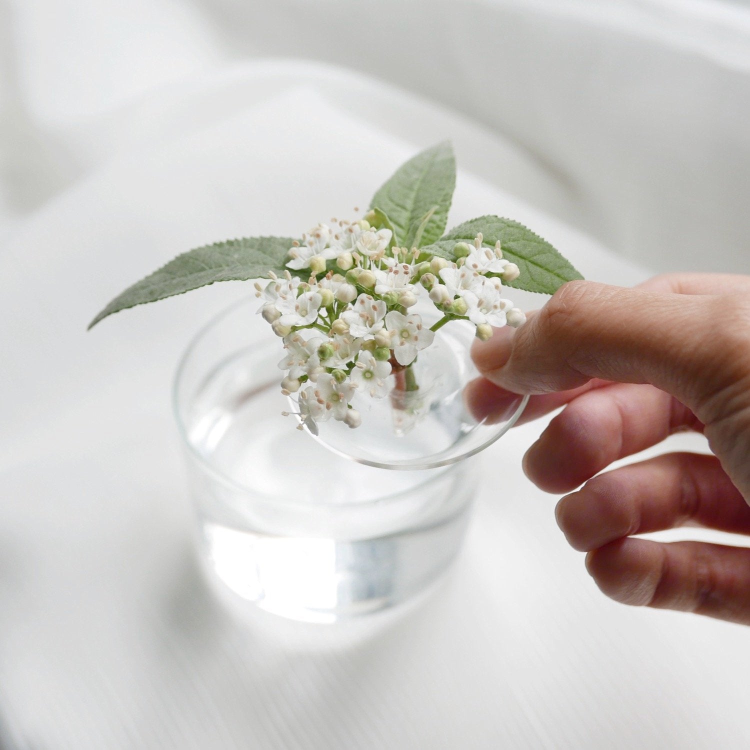 floating ripple vase – Garden Objects